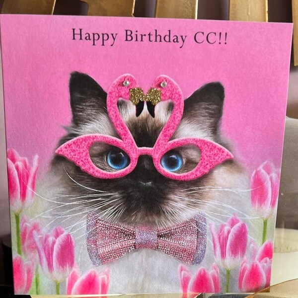 Personalised Cat Birthday Card Girls Women Boys Men Mum Dad Husband ...