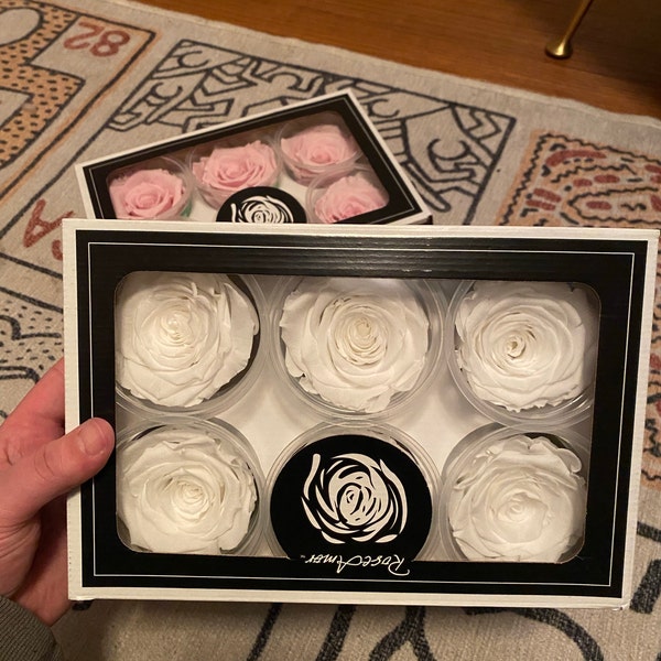 Wholesale XL Roseamor Ecuadorian Preserved Roses, High Quality PACK OF ...