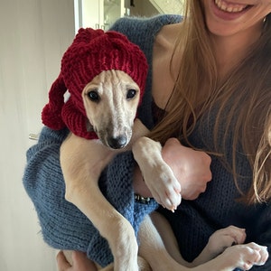 Yellow Cat Hat Hand Knit Sphynx Cat Accessories Pet Winter Beanie for ...