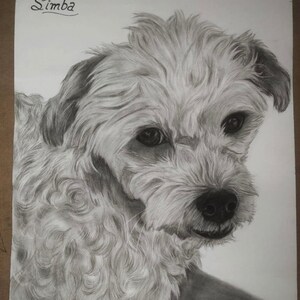 Custom Dog Drawing Dog Memorial Photo to Sketch Charcoal | Etsy