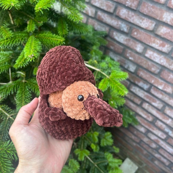 Digital Crochet Pattern- No-sew Pati the Platypus- Hatchling Baby ...