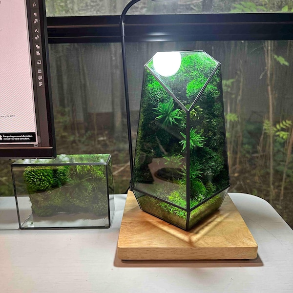 Preserved Lichen Terrarium: Ecocube S - Minimalist Glass Desk Decor by ...