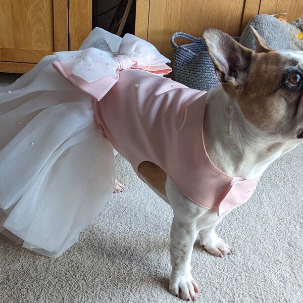 Dog Rugby Shirts. Dog Clothes. Dog Sweatshirts. Dog Outdoor Attire ...