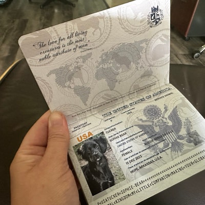 The Pet Pass 50 US State Stamp Stickers - Etsy