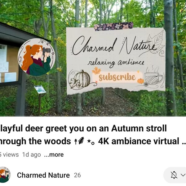 OVERLAYS PNG TAGS for Youtube Videos | Youtube Video Editing | 25 ...