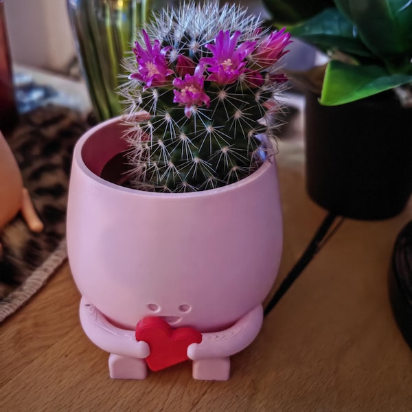 Happy Plant Pot Valentine Gift for Her Gift for Him Valentine's Day ...