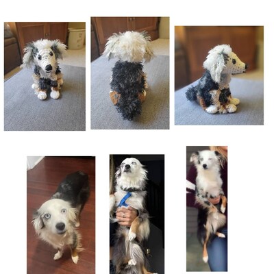 Crochet Pattern for Finnly, Realistic Crochet Border Collie Dog ...