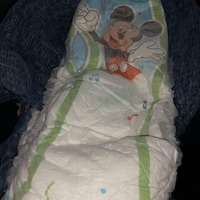 Customz Gary Gazelle ABDL Adult Baby Diaper Nappy - 1 X Nappy - Etsy