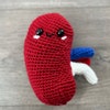 Anatomical Kidney Crochet Pattern! PATTERN ONLY Instant DOWNLOAD ...