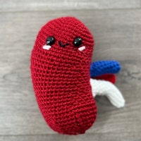 Anatomical Kidney Crochet Pattern! PATTERN ONLY Instant DOWNLOAD ...