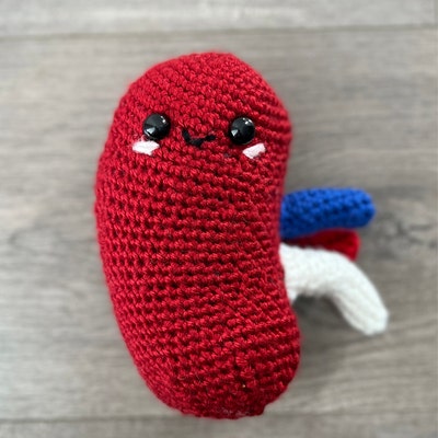 Anatomical Kidney Crochet Pattern PATTERN ONLY Instant DOWNLOAD ...