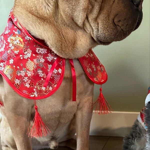 New Year Bandana Bib for Dogs and Cats, Chinese Spring Festival Red ...