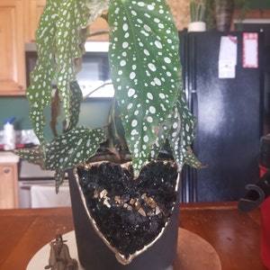 6 Inch Geode Pot Concrete Pot Hand Painted Pot Stone Pot Crystal Pot ...