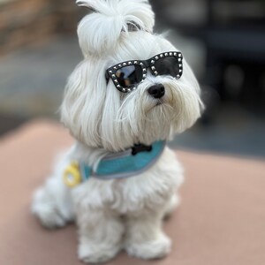 Hello Henri Large Mauve Studded Shades - Etsy