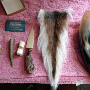 Ancient Fossilized Corax Shark Dinosaur Teeth Shark Teeth | Etsy