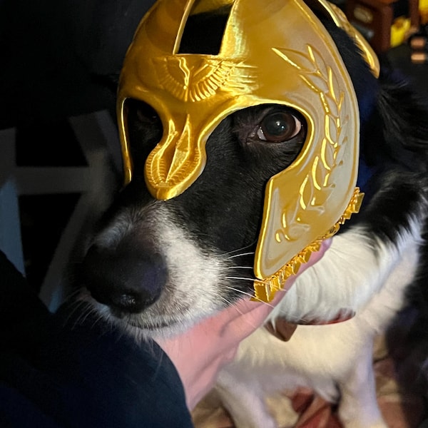 Spartan Dog Helmet STL File Dog Armor 3D Print Pet Cosplay Costume ...