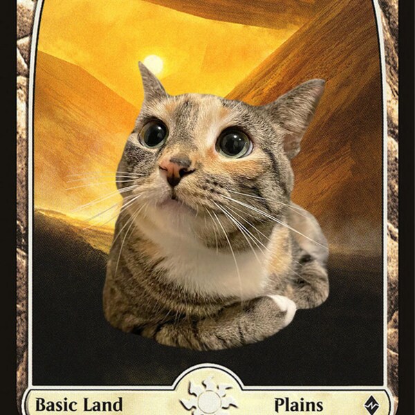 Personalized Pet Magic the Gathering Foil Land - Etsy