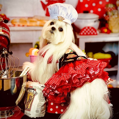 Fast Food Apron Set for 18 Dolls - Etsy