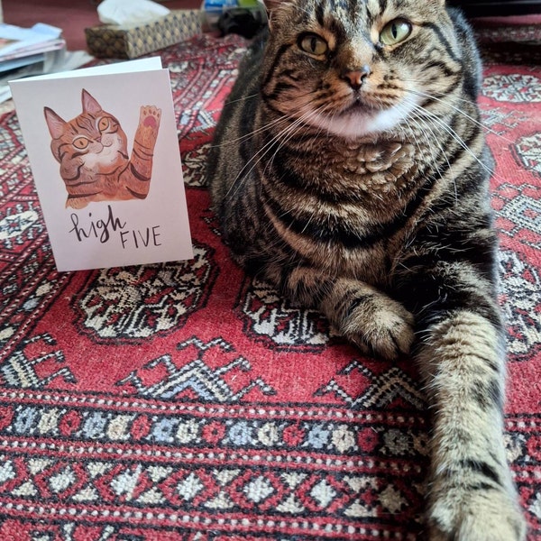 Printable Water Birds Colouring Sheet - Seagull, Pigeon, Bird Nerds ...