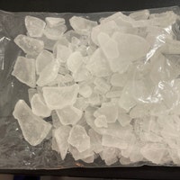 Albizia Saman Plant Seeds Rare Rain Tree Seeds for Tropical Gardens ...