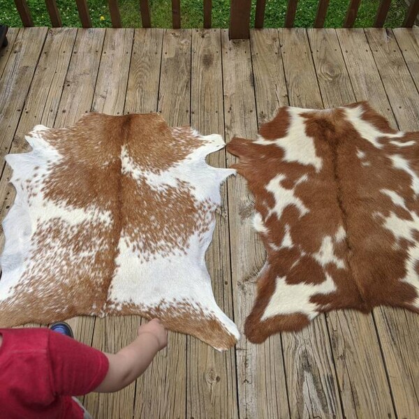 Real Goatskin Hide - Size 2x3' - Etsy