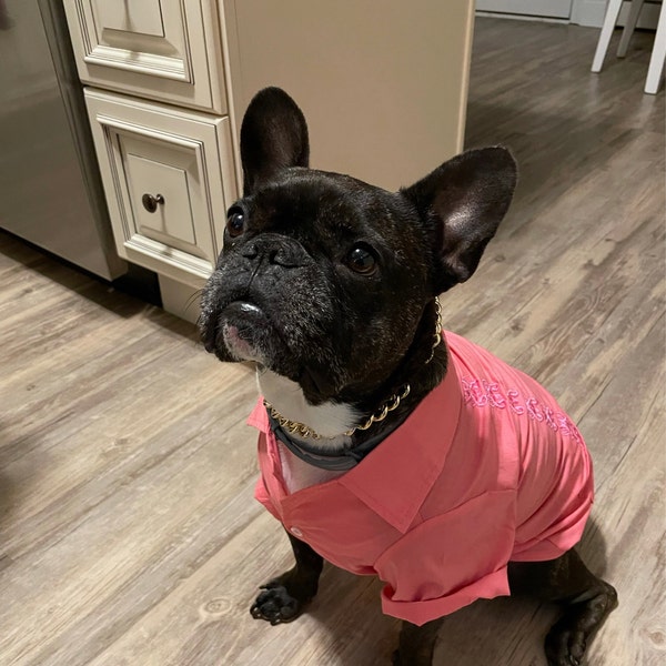 Plaid Dog Shirt, Fall Dog Shirt, Dressy Dog Shirt, Dog Clothes, Luxury ...