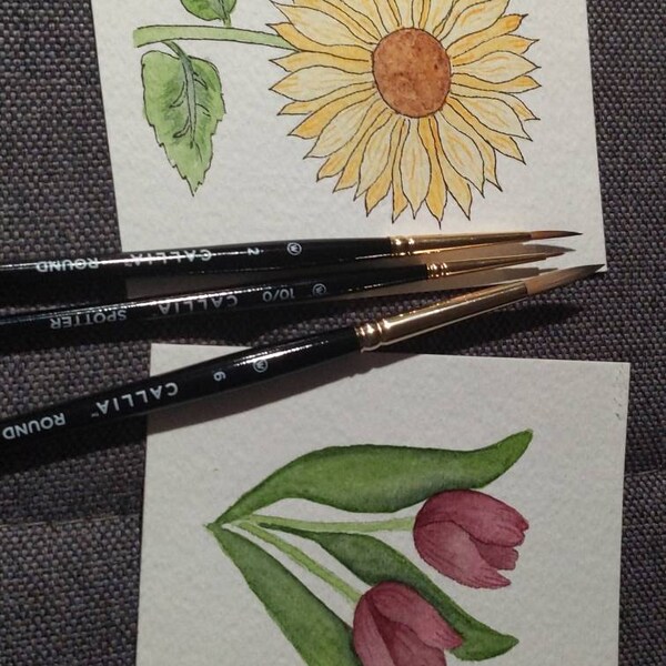 Callia Fine Super Round Brush Set - Etsy