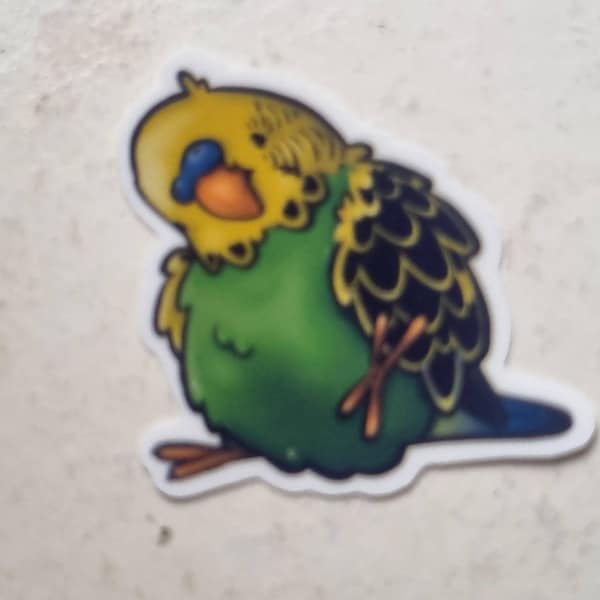 Sun Conure Sticker Sheet Premium Matte Vinyl Sticker Parakeet Parrot ...