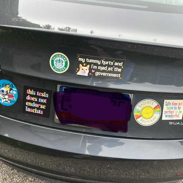 My Tummy Hurts and I’m Mad at the Government 7" Bumper Sticker or ...