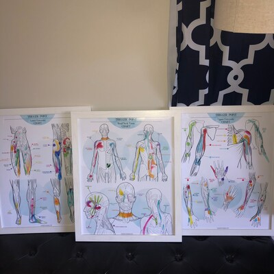 Fascia Lines Anatomy Poster SANDYSPINES Art for Chiropractors, Massage ...