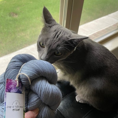 Winterberry Sock Setfull Skein 2 Mini Skeinsfingering/sock Weight75 Superwash Merino Wool/25 ...