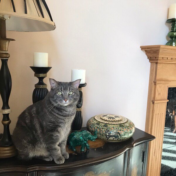 Riser / Live Edge Wood Riser / Plant Stand / Plant Riser / Cake Stand ...