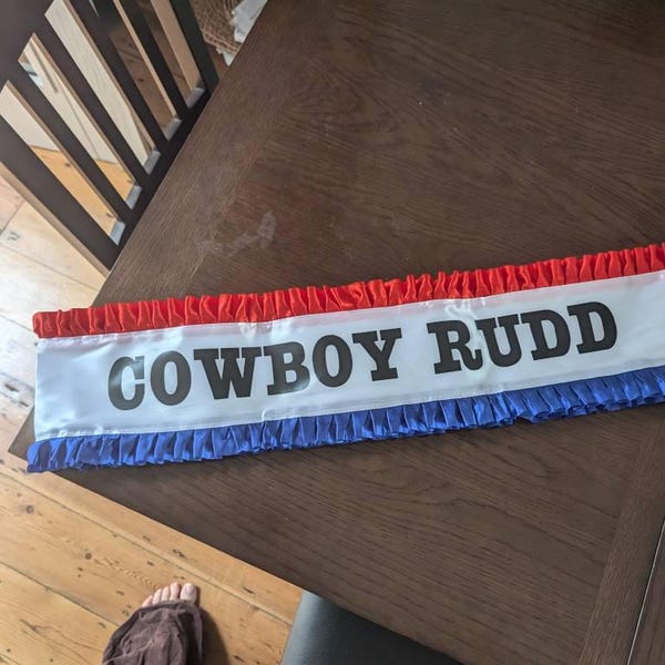 Dua Lipa Radical Optimism Poster, Retro Sunset Comic Print, Shark Pop ...