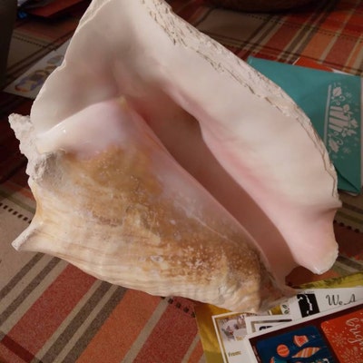 XXL Handcarved Wooden Display Stand,8wood Tripod Stand,wood Carved 3 ...