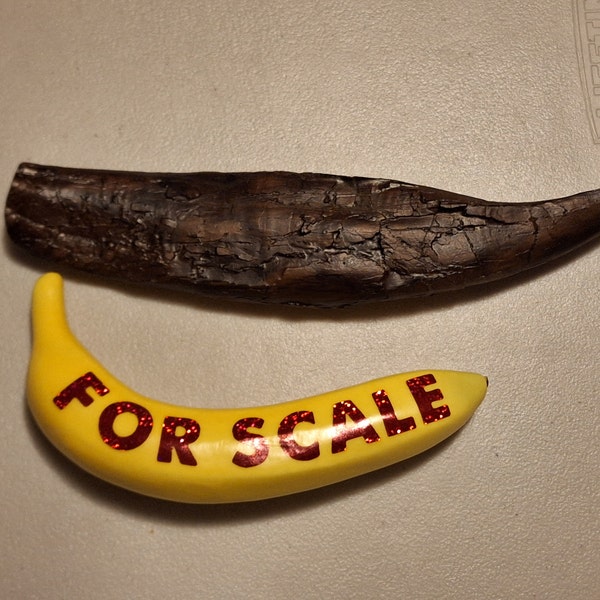 Ghost Lily of the Valley, Light Up, Ghost, Diorama, Lily of the Valley ...