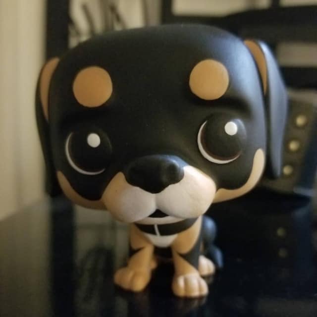 PandaPopCustoms - Custom Funko Pop Pets - Etsy