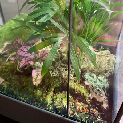 Vibrant Skeleton Acrylic Painting on Dark Blue Canvas - Etsy