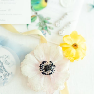 Set of 12 Round Floral Risers for Photographers Invitation Flat Lays - Etsy