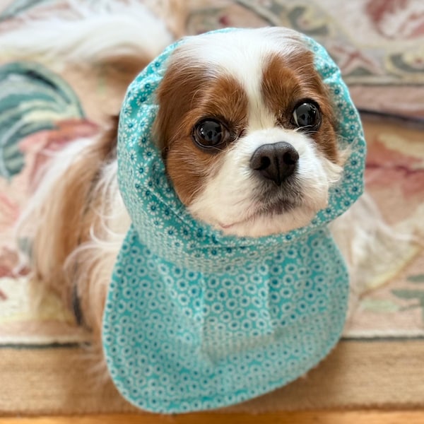 Adjustable Dog Snood: THANKSGIVING TURKEY TROT Snood to Protect Long ...