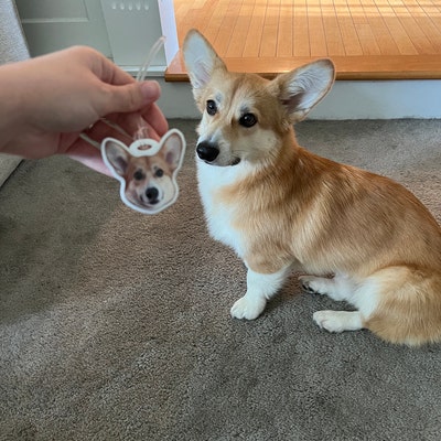 Ghost Pet ID Tag for Dogs and Cats Ghost Name Tag Halloween - Etsy