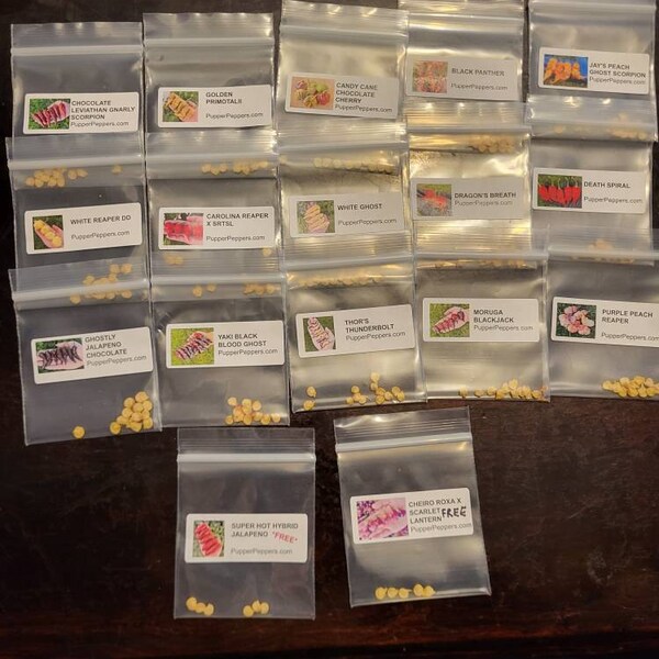 Purple Peach Carolina Reaper Rare Pepper Seeds Premium Packet - Etsy