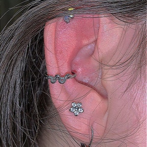 316L Stainless Steel Snake Conch Earring Conch Clicker Conch - Etsy