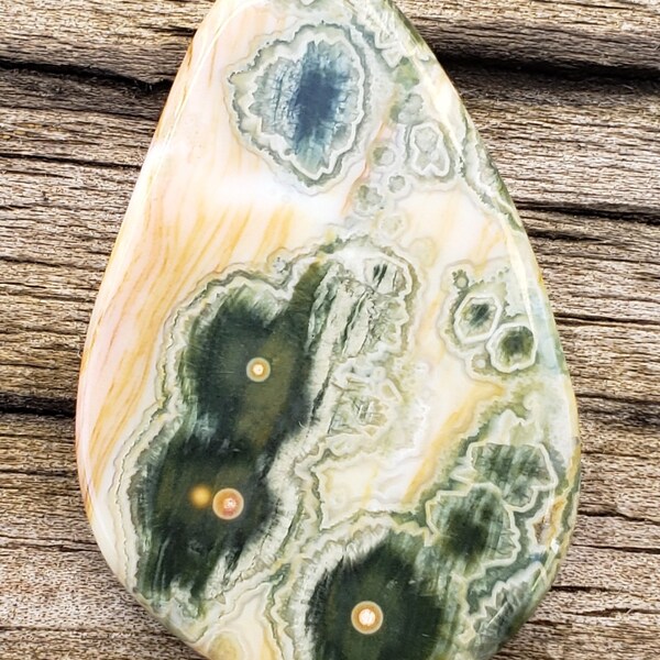 Dinosaur Bone Slab Gembone Slab Dino Bone Polished Museum - Etsy