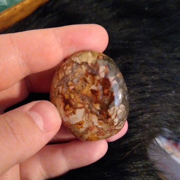 Ibis Agatized Jasper Polished Stone - Etsy