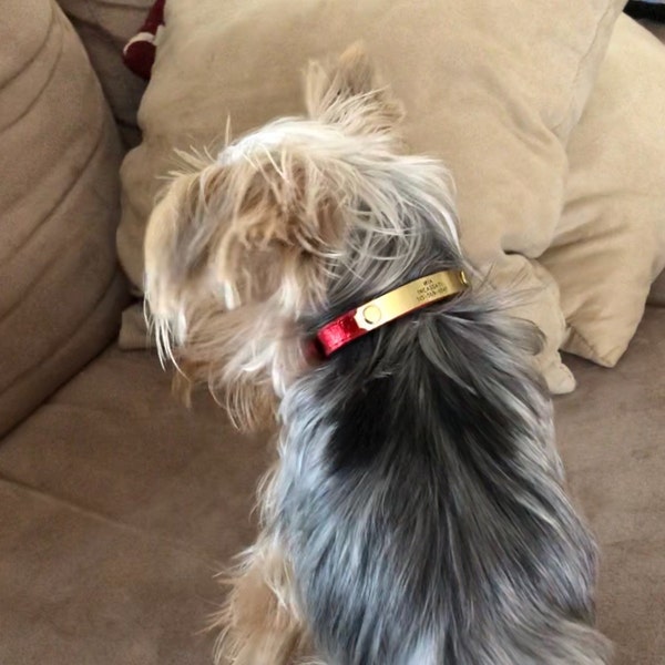 Tiny Dog Collar, Chihuahua Collar, Yorkie Collar, Ferret Collar ...