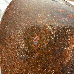 Agate Dinosaur Gem Bone Collection Piece Hand Made Agatized Dino Gem ...