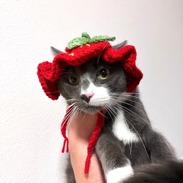 Crochet Red Devil Bonnet - Etsy