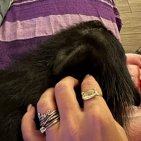 Sterling Silver Pig Ring - Silver Pig Head Ring - Etsy