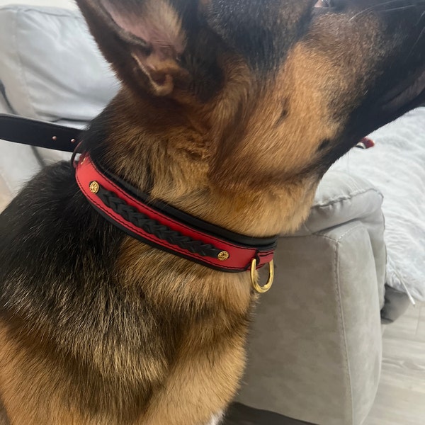 Red Leather Dog Collar, Red Leather Braided Dog Collar, Brass Hardware ...