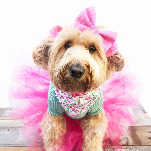 Pink Ombre Tutu Fuschia Bubblegum Pink Light Pink Valentines Tutu ...